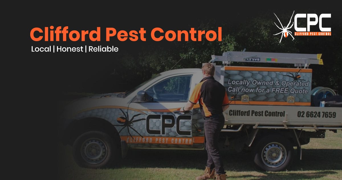 Expert Pest Management - Clifford Pest Control Lismore